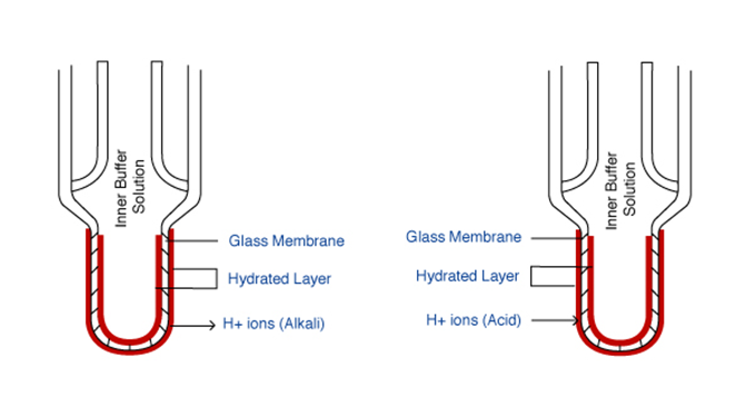 pH Theory | Measurement of pH | Sentek